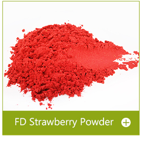 Tianjin TTN Technology Company Limited