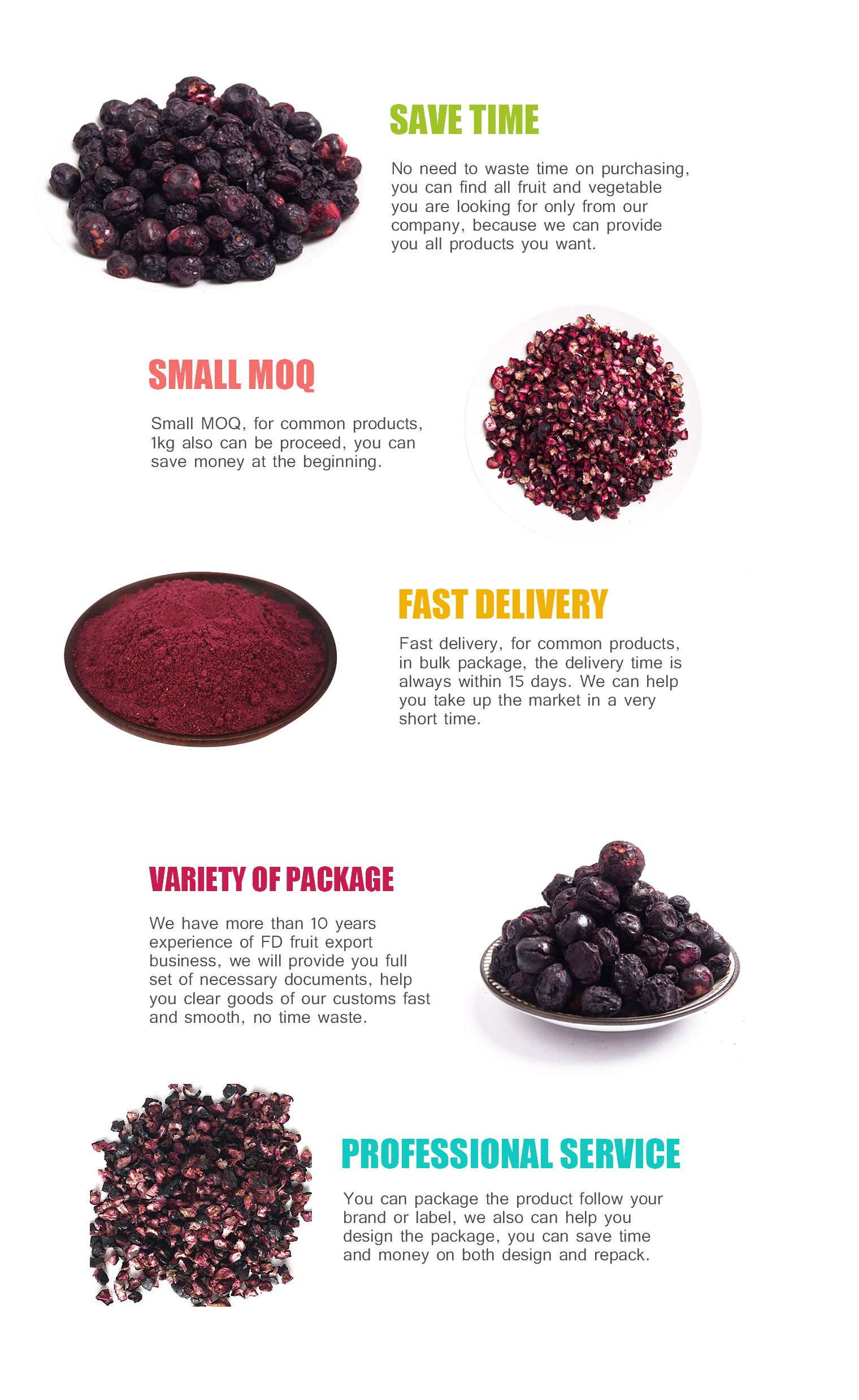 Wholesale Bulk Freeze Dried Blueberry Chips