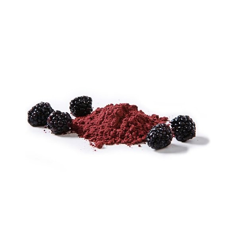 Hot sale freeze dried blackberry powder